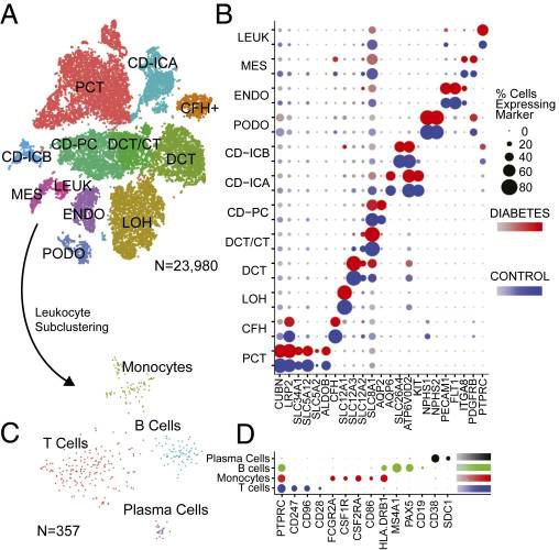 干货分享丨详解单细胞核 RNA 测序（snRNA-seq）应用与进展 科研动态 上海伯豪生物技术有限公司 服务科技创新，护航人类健康！