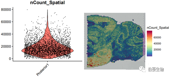 空间转录组 | 数据预处理、降维、聚类（seurat） 科研动态 上海伯豪生物技术有限公司 服务科技创新，护航人类健康！