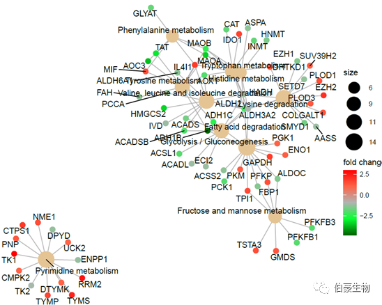 TCGA and GEO 转录组数据挖掘超级干货 科研动态 上海伯豪生物技术有限公司 服务科技创新，护航人类健康！