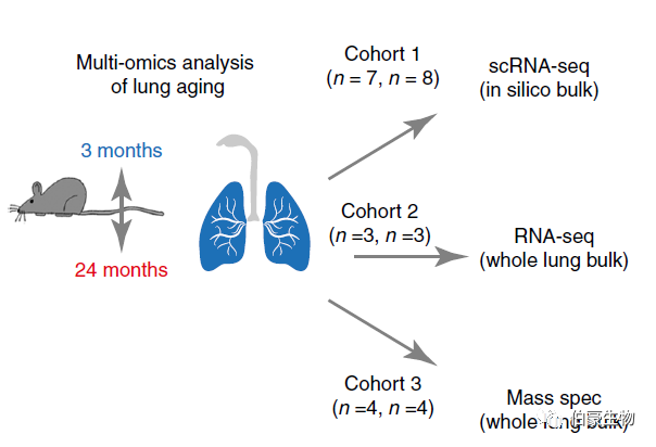 双剑合璧 |scRNA-seq 与 bulk RNA-seq 联合分析 科研动态 上海伯豪生物技术有限公司 服务科技创新，护航人类健康！