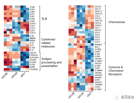 双剑合璧 |scRNA-seq 与 bulk RNA-seq 联合分析 科研动态 上海伯豪生物技术有限公司 服务科技创新，护航人类健康！