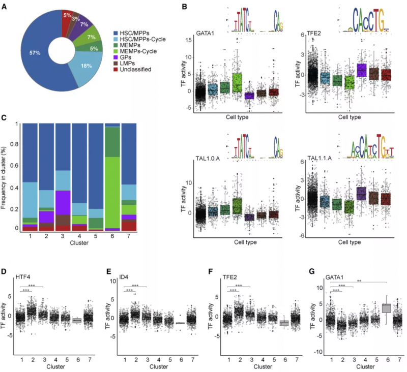 Cell 子刊 | 整合 scRNA-seq 和 ATAC-seq 数据分析人类发育过程中造血功能的调控 科研动态 上海伯豪生物技术有限公司 服务科技创新，护航人类健康！